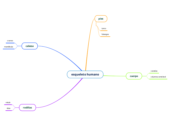 esqueleto humano - Mind Map